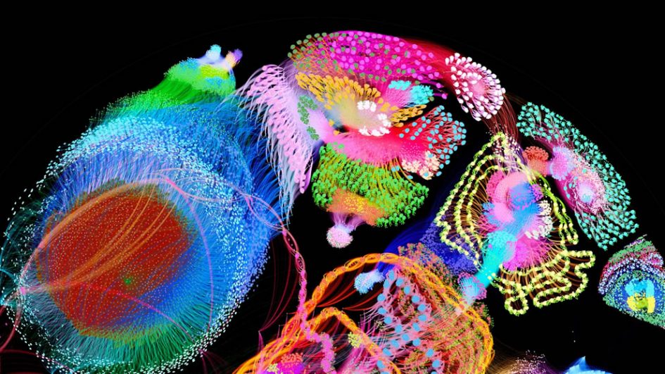 Graphcore Academic Programme offers free AI compute resources | GÉANT ...