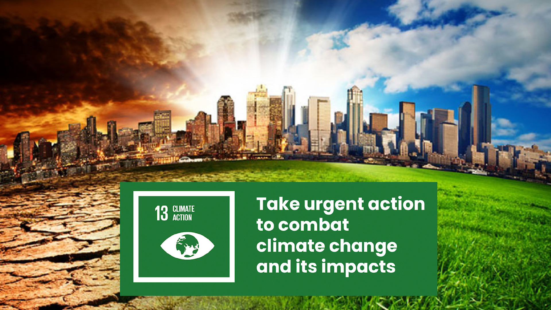 Moving Towards A Greener Future: The Role of African RENs in Achieving SDG13 | GÉANT CONNECT Online