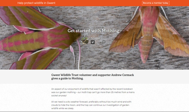 “Driven by a very simple but beautiful desire to help people”: A ...