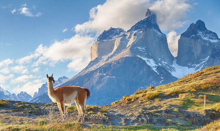 Patagonia Project connects southern tip of continent with R&E Networks ...