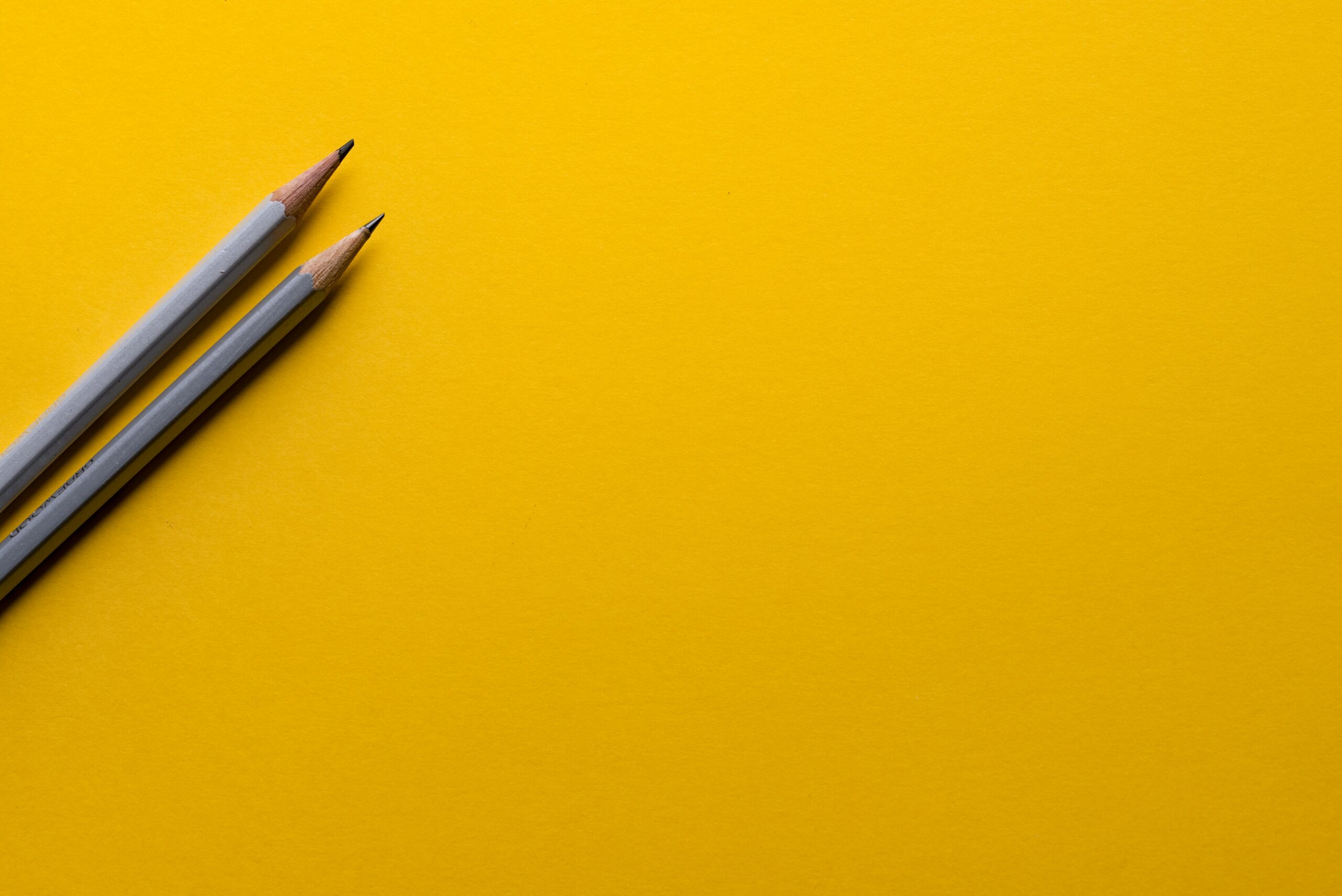 Building connections and empowering communicators: insights from SIG ...
